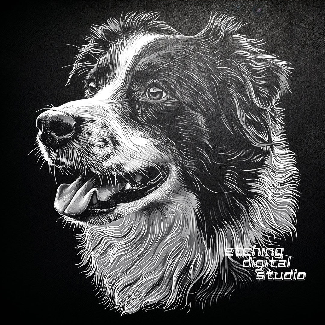 Australian Shepherd Slate PNG | Slate Coasters Engraved | Slate Boards ...