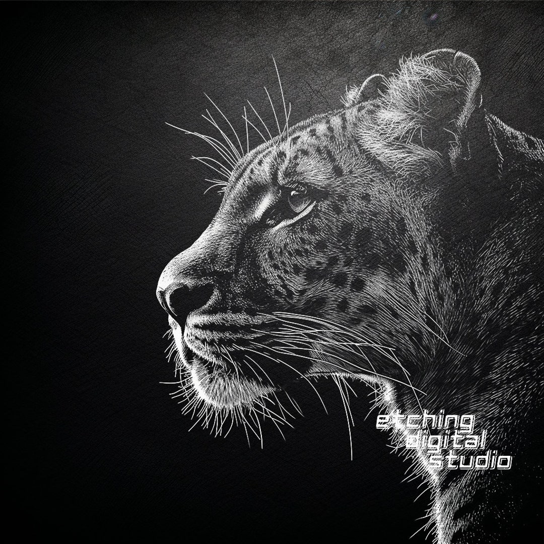 Tiger Slate PNG | Slate Coasters Engraved | Slate Boards Etching | DIY ...