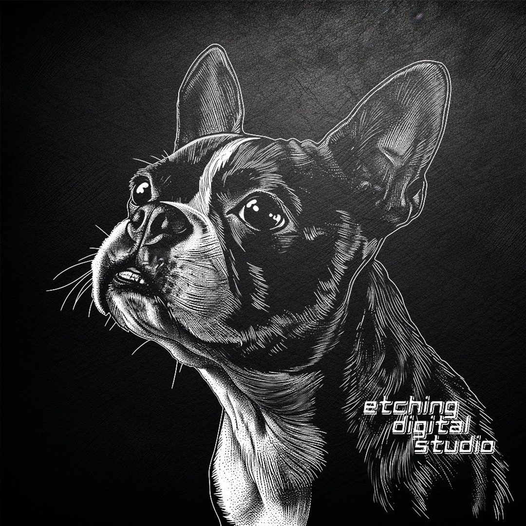Boston Terrier Dog Slate PNG | Slate Coasters Engraved | Slate Boards ...