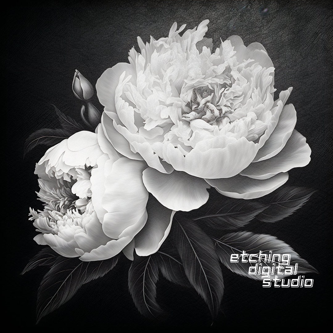 Peony Flowers PNG for CNC Laser Engrave, Laser Burn, Glowforge File ...