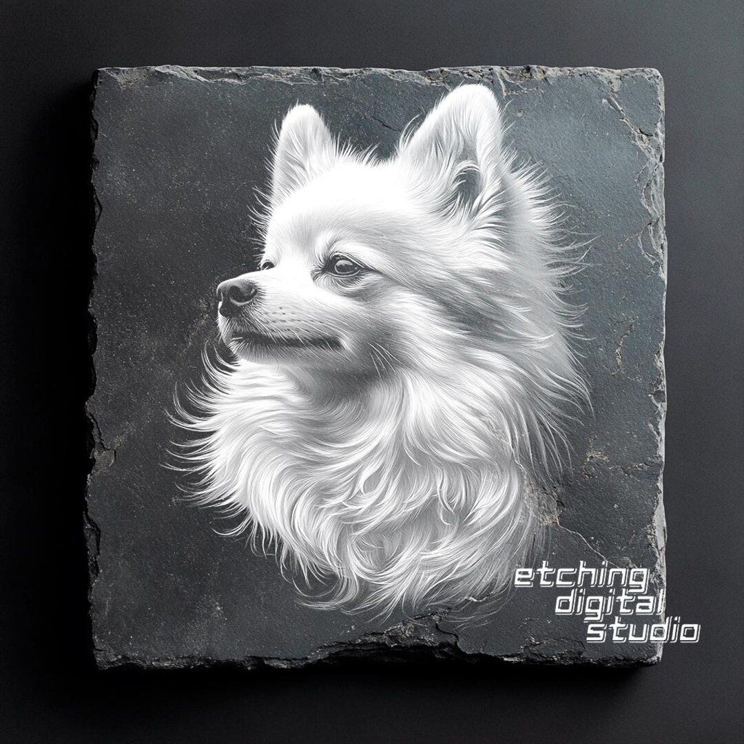 Pomeranian Dog Slate PNG | Slate Coasters Engraved | Slate Boards ...