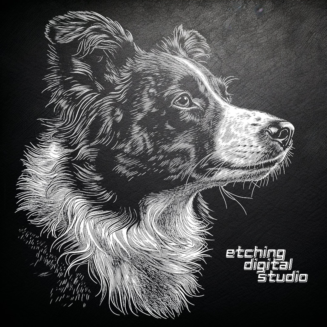 Border Collie Dog Breed, Laser Engraving PNG File, Slate Coaster ...