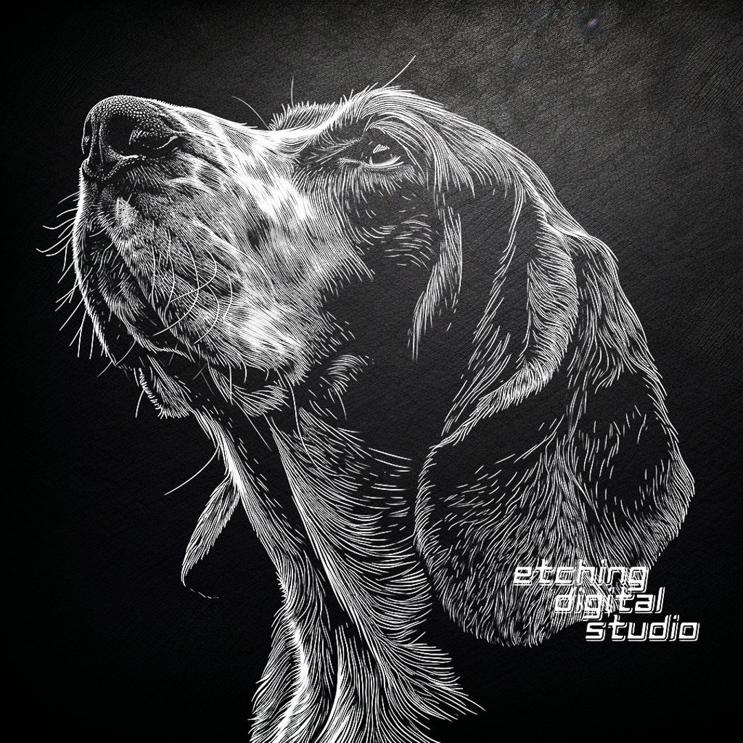 Basset Hound Dog Slate PNG | Slate Coasters Engraved | Slate Boards ...