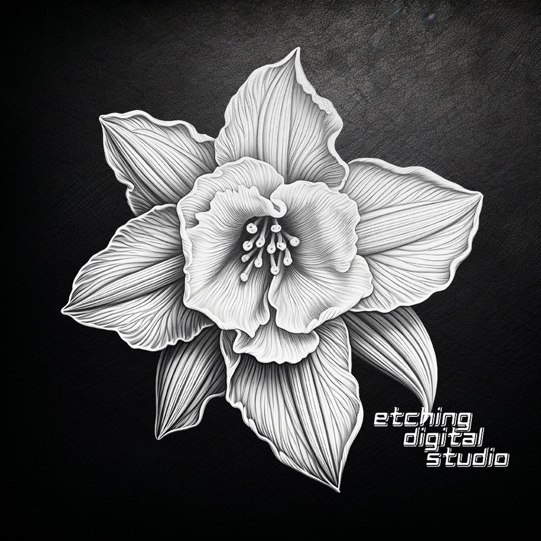 Daffodil Flower PNG CNC Laser Engrave, Laser Burn, Glowforge File ...