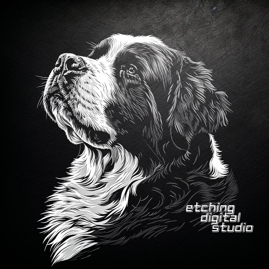 Saint Bernard Dog Slate PNG | Slate Coasters Engraved | Slate Boards ...