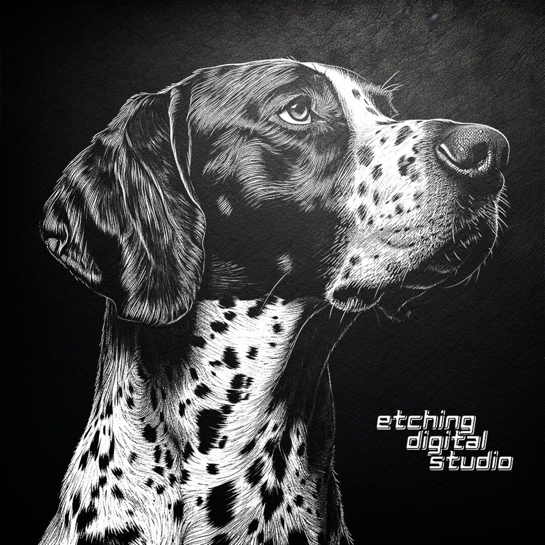 Dalmatian Dog Slate PNG | Slate Coasters Engraved | Slate Boards ...