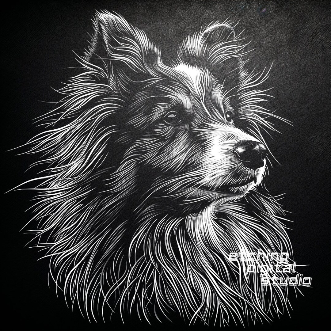 Shetland Sheepdog Dog Slate PNG | Slate Coasters Engraved | Slate ...