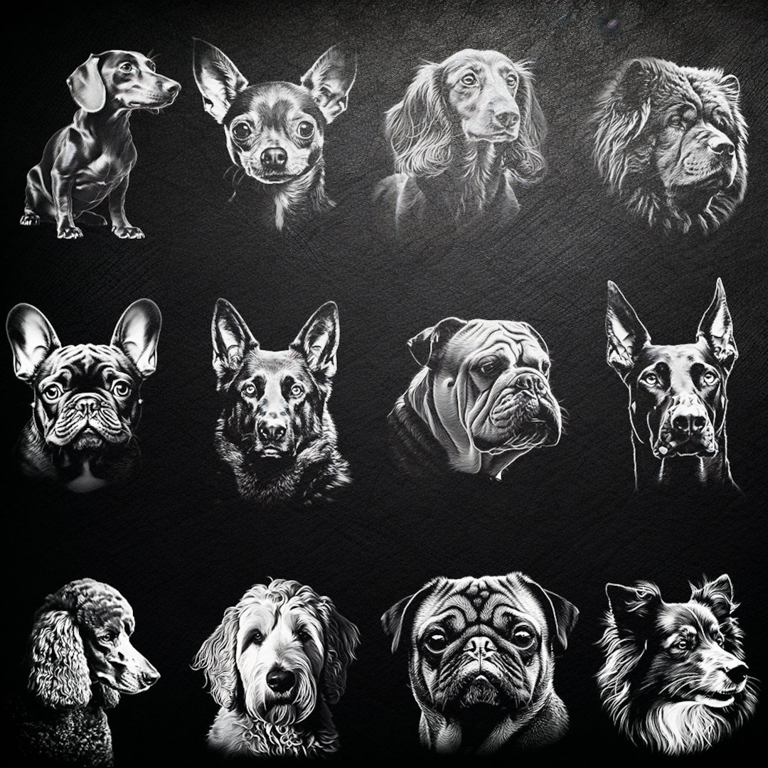12 Dog Breeds Slate PNG | Slate Coasters Engraved | Slate Boards ...