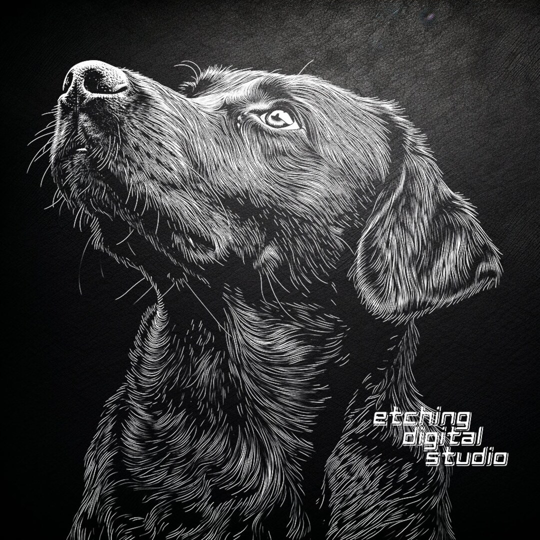 Labrador Retriever Dog Breed, Laser Engraving PNG File, Slate Coaster ...