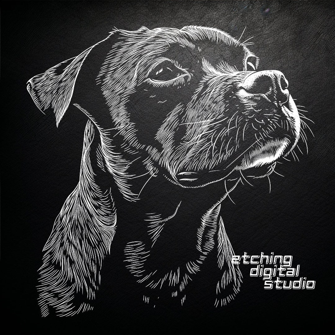 Bull Terrier Dog Slate PNG | Slate Coasters Engraved | Slate Boards ...