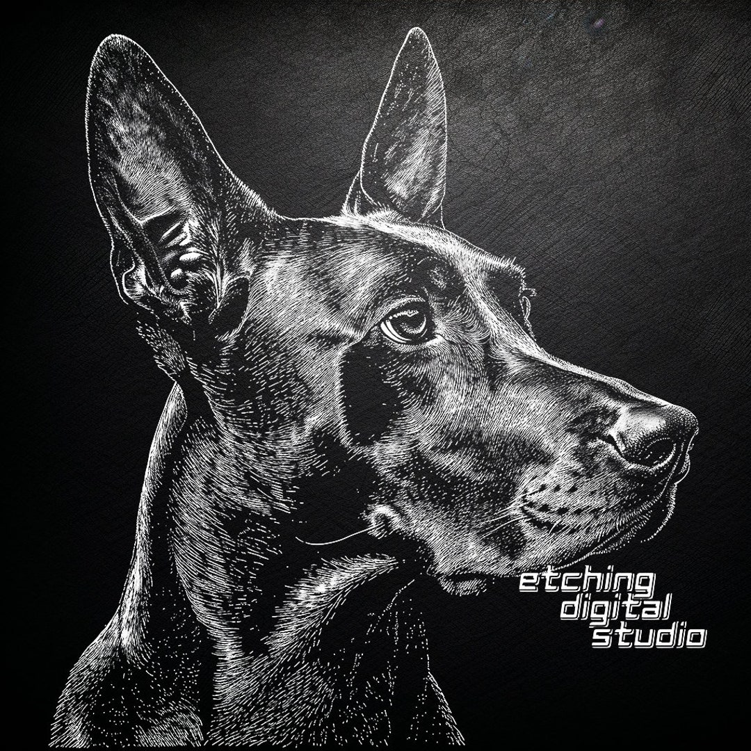 Doberman Pinscher Dog Slate PNG | Slate Coasters Engraved | Slate ...