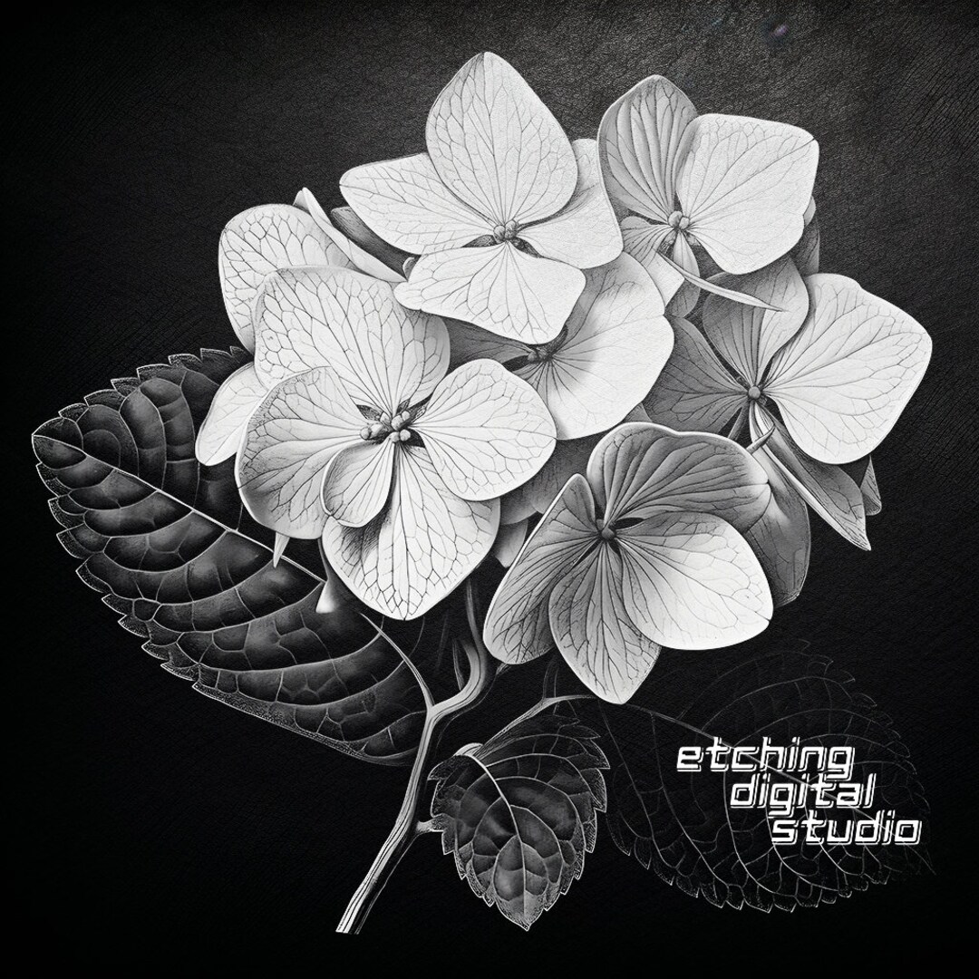 Hydrangea Flower PNG for CNC Laser Engrave, Laser Burn, Glowforge File ...