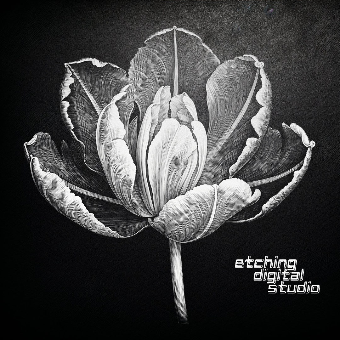 Tulip Flower PNG for CNC Laser Engrave, Laser Burn, Glowforge File ...