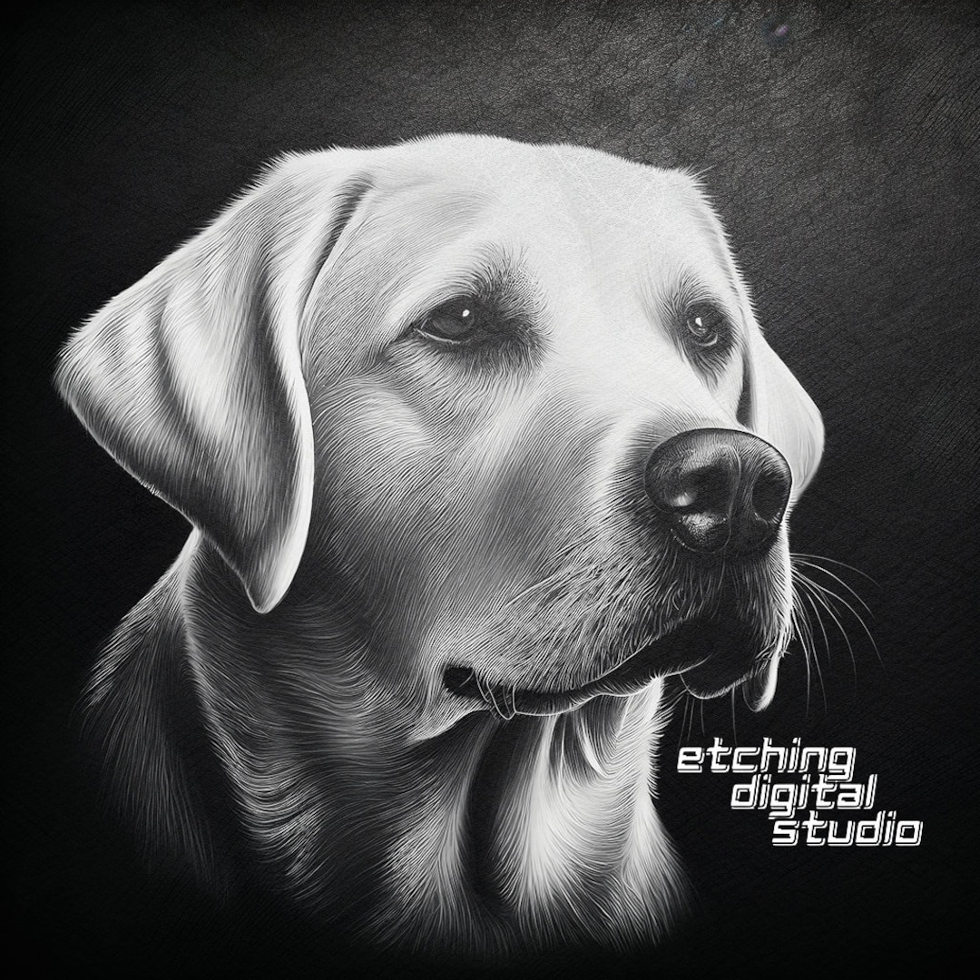 Labrador Retriever PNG for CNC Laser Engrave, Laser Burn, Glowforge ...