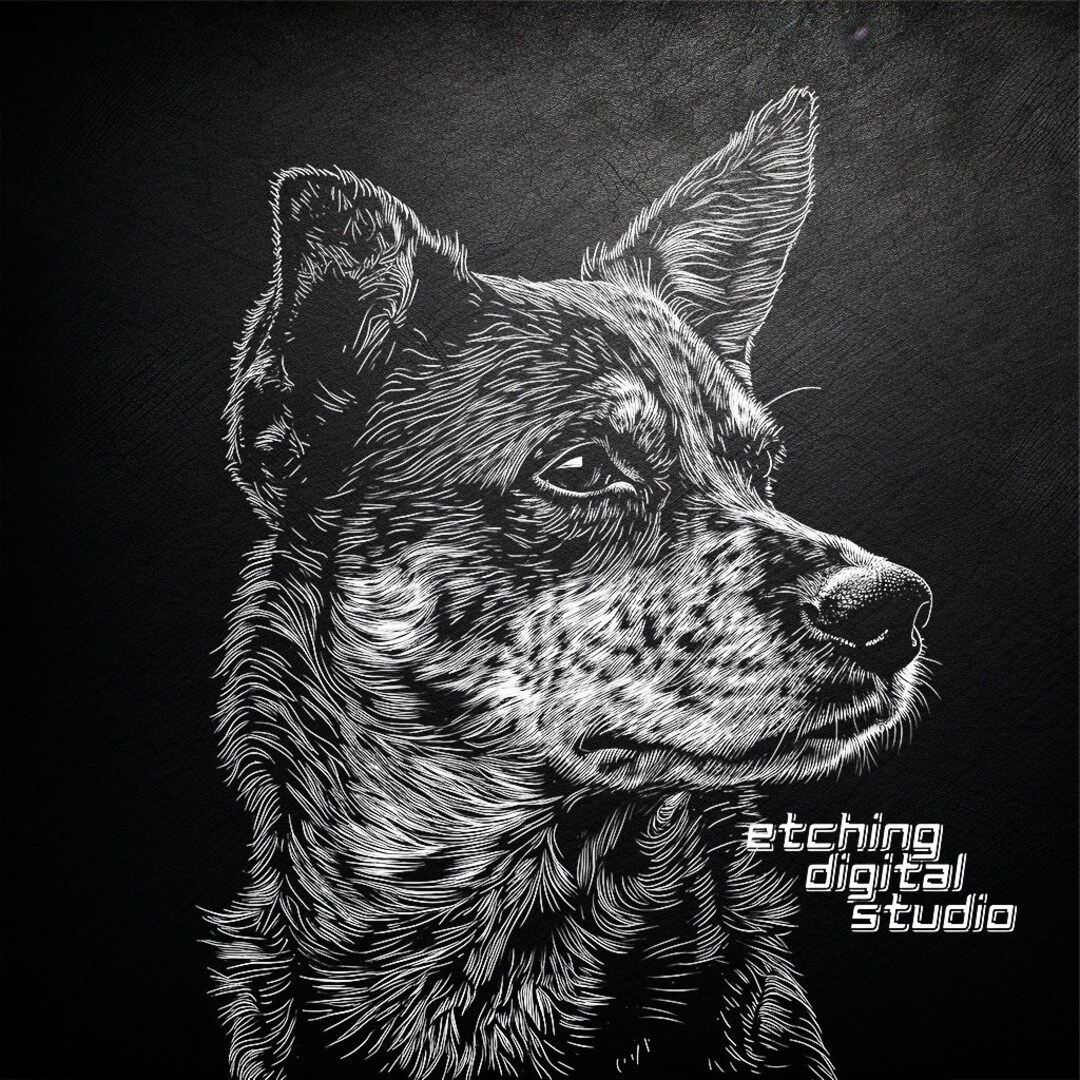 Australian Cattle Dog Slate PNG | Slate Coasters Engraved | Slate ...