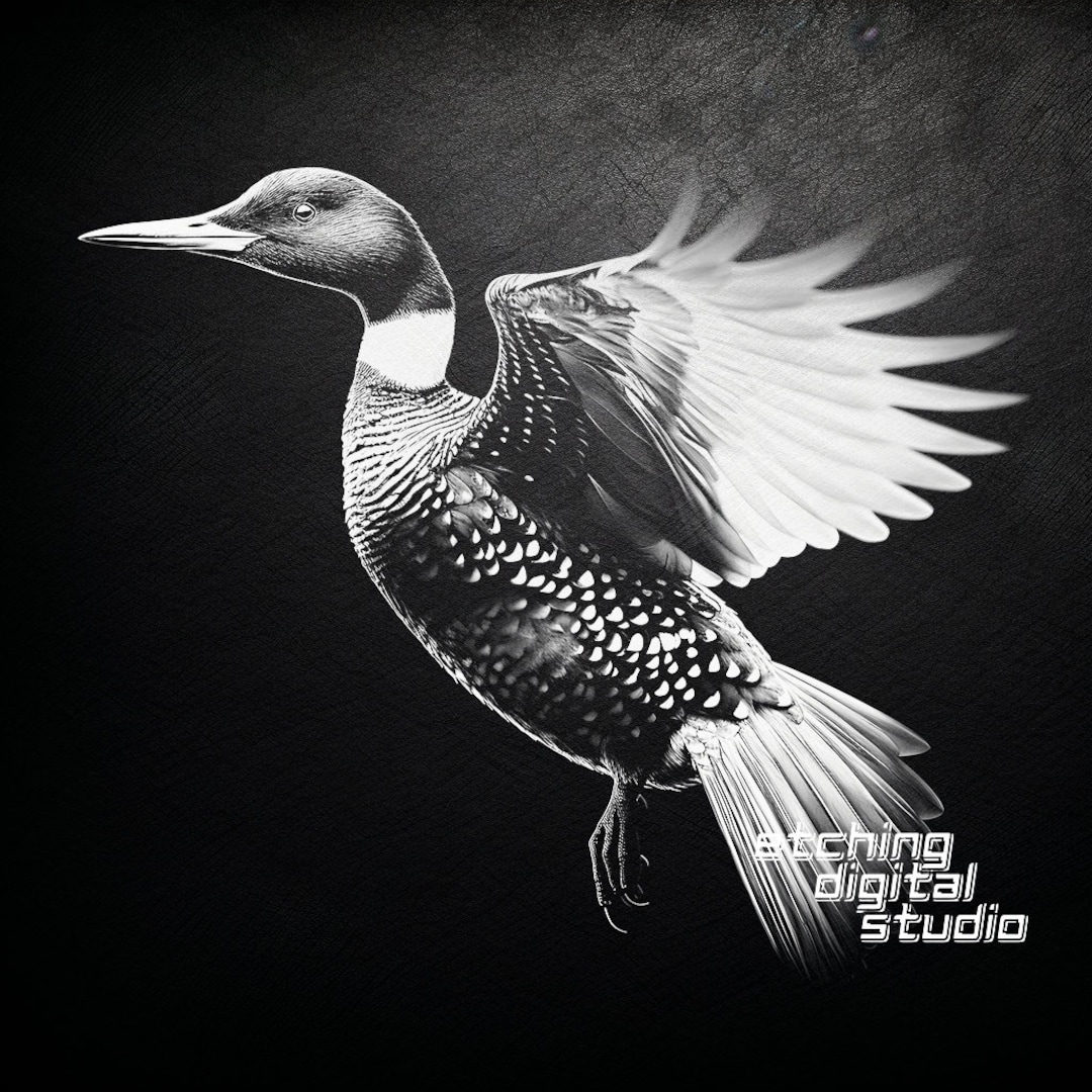 Loon PNG for CNC Laser Engrave, Laser Burn, Wildlife, Lightburn, Slate ...