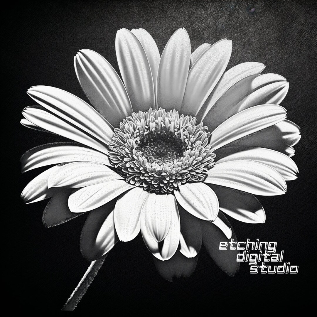 Gerbera Daisy Flower PNG for CNC Laser Engrave, Laser Burn, Glowforge ...