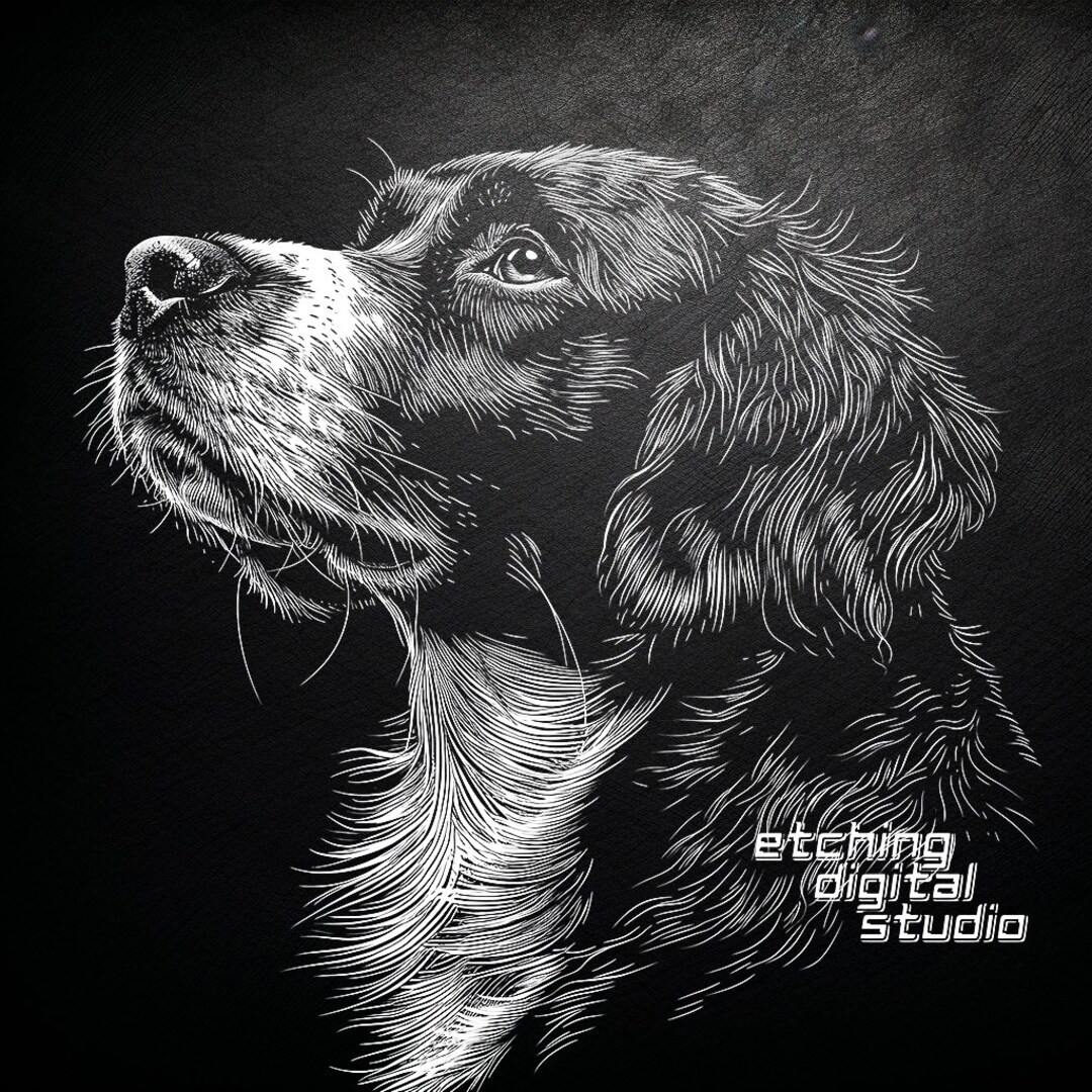 Brittany Spaniel Dog Slate PNG | Slate Coasters Engraved | Slate Boards ...