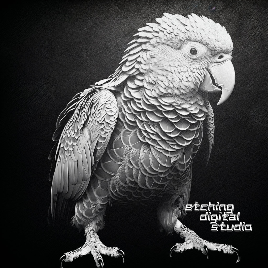 Parrot Bird PNG Slate PNG | Slate Coasters Engraved | Slate Boards ...