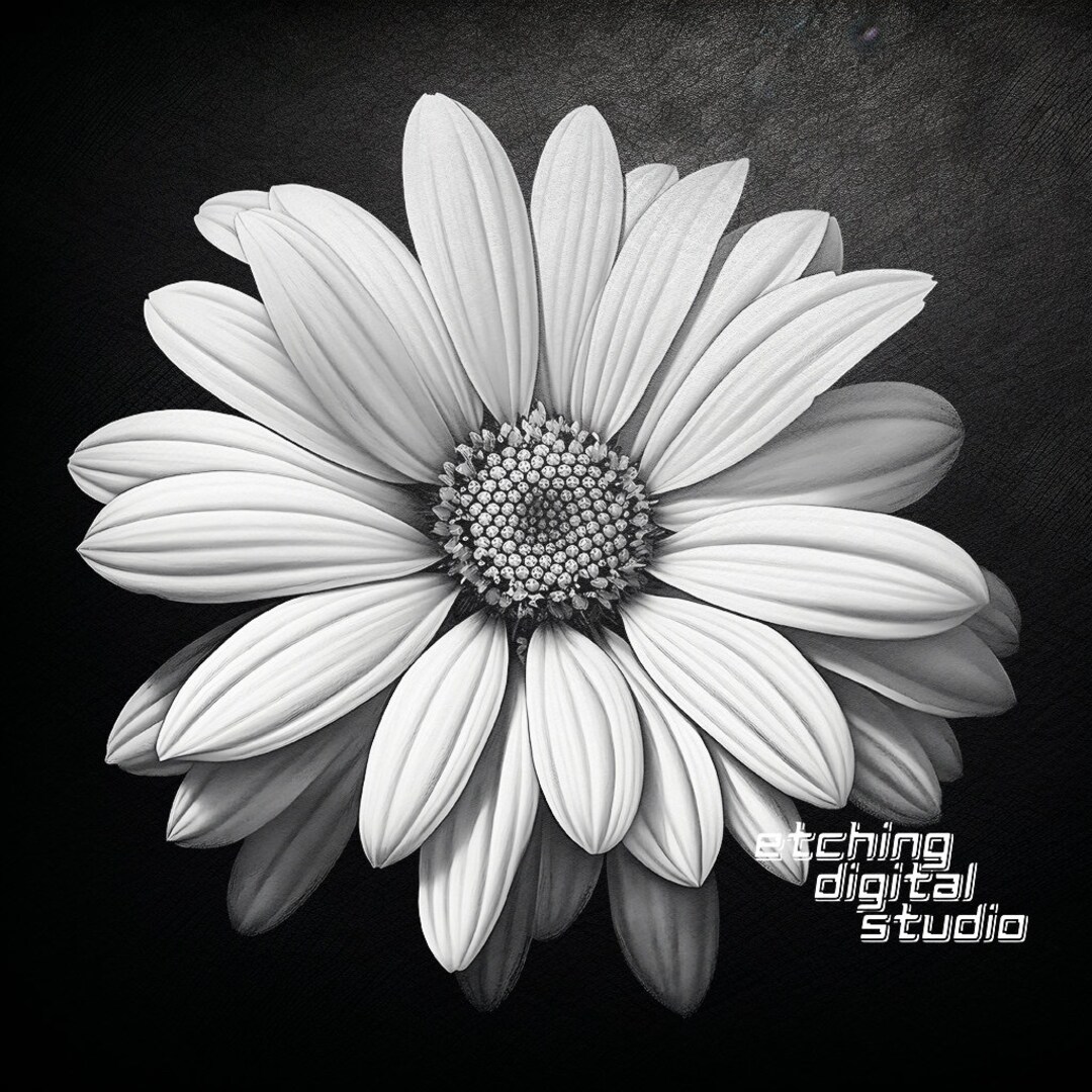 Daisy Flower PNG for CNC Laser Engrave, Laser Burn, Glowforge File ...