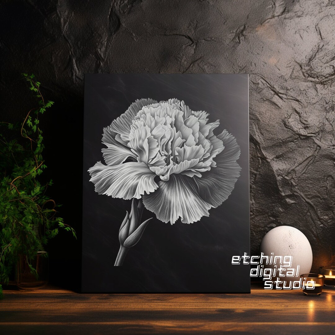 Carnation Flower PNG for CNC Laser Engrave, Laser Burn, Glowforge File ...