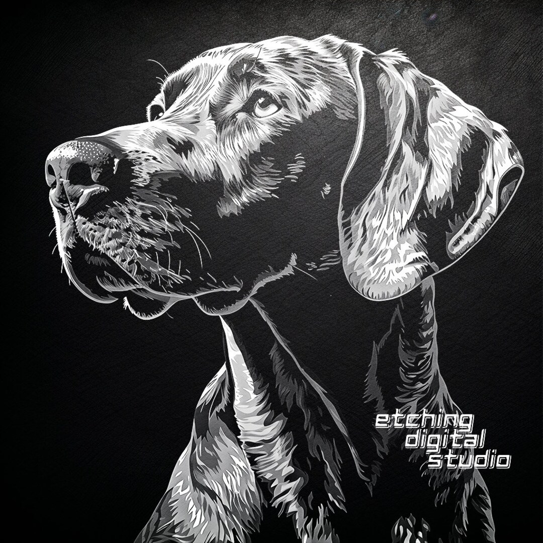 Weimaraner Dog Breed Slate PNG | Slate Coasters Engraved | Slate Boards ...