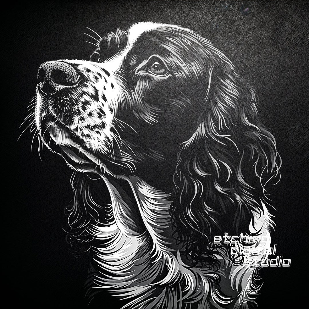 English Springer Dog Slate PNG | Slate Coasters Engraved | Slate Boards ...