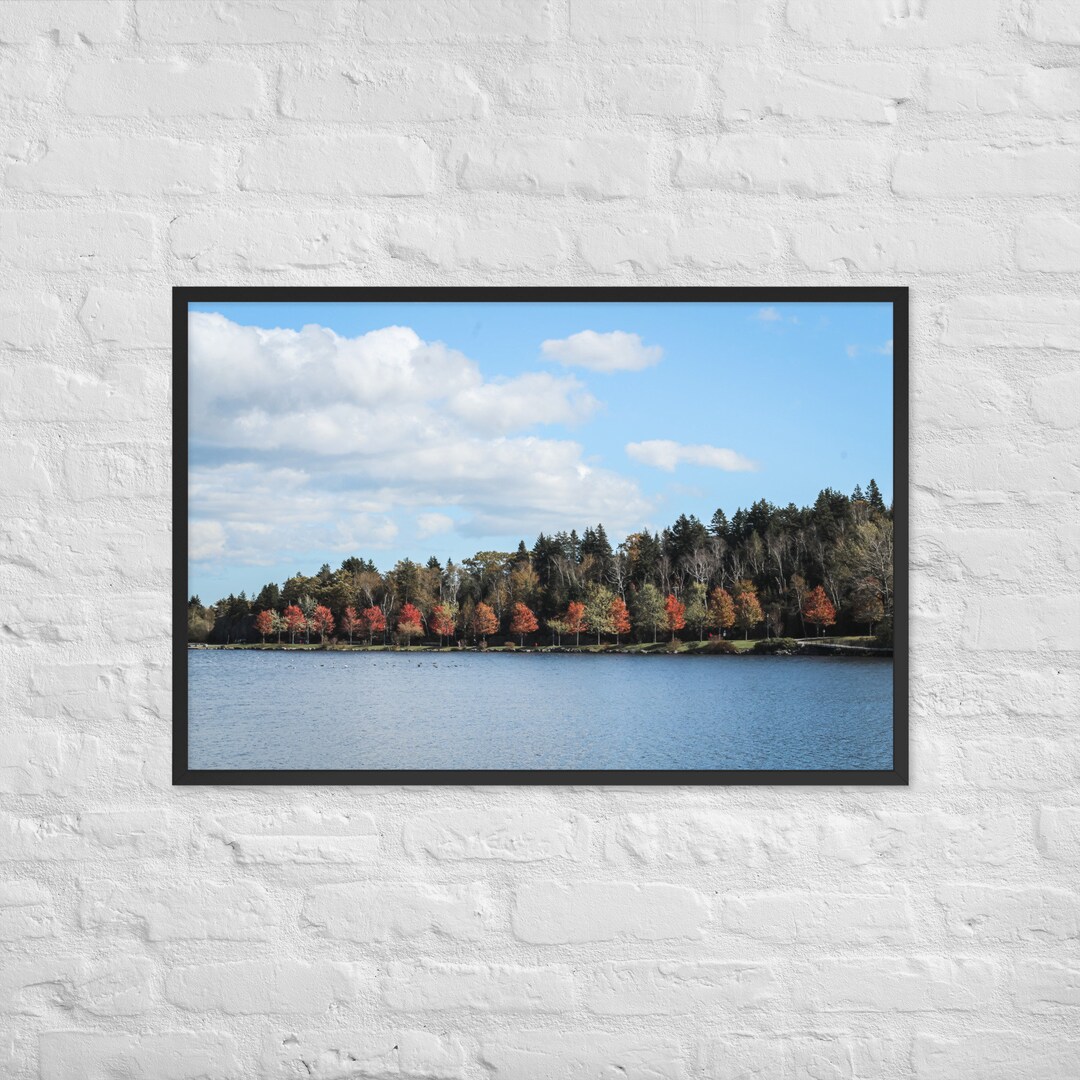 Forrest Bar Harbor Poster Framed Poster Wall Art - Etsy