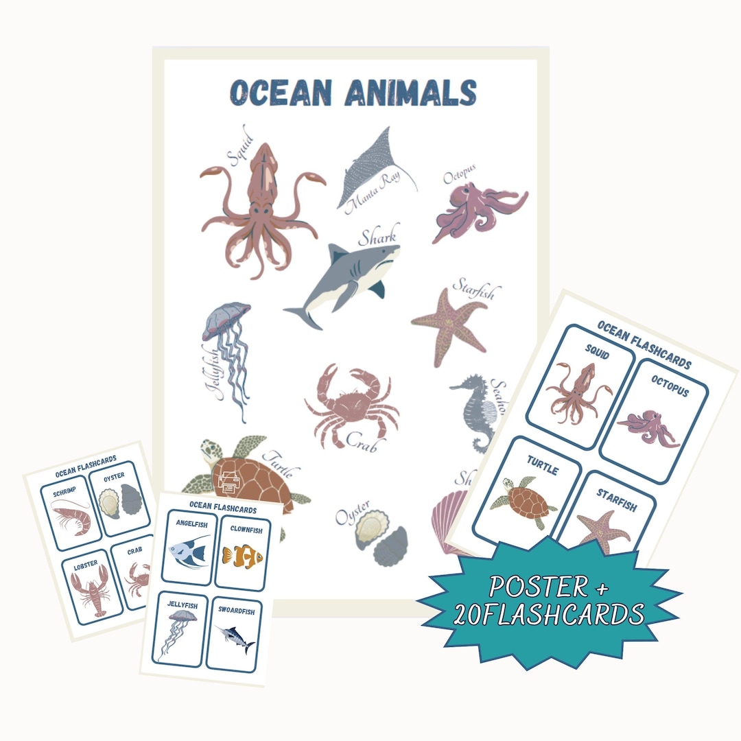 Ocean Animals Flashcards and Poster - Ocean Themed Classroom - Etsy