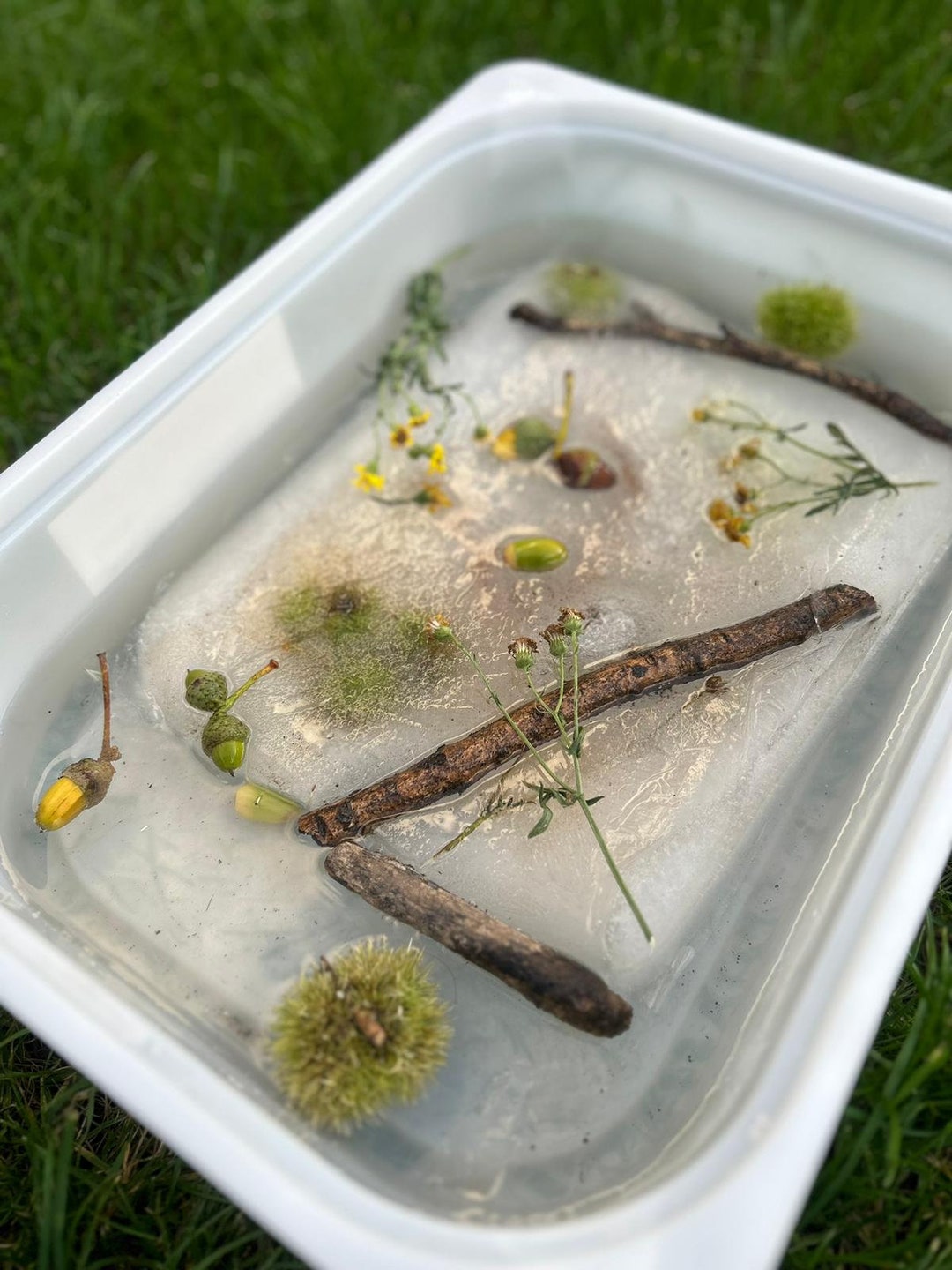 Woodland Sensory Tray Activity Sheet Instant Download - Etsy