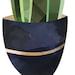 Plant Life Door Decor Spring Door May Bulletin Board "keep Growing ...
