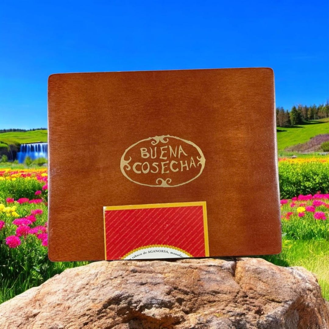 Empty Buena Cosecha Cigar Box: Torpedo. Velvet Lining Available ...