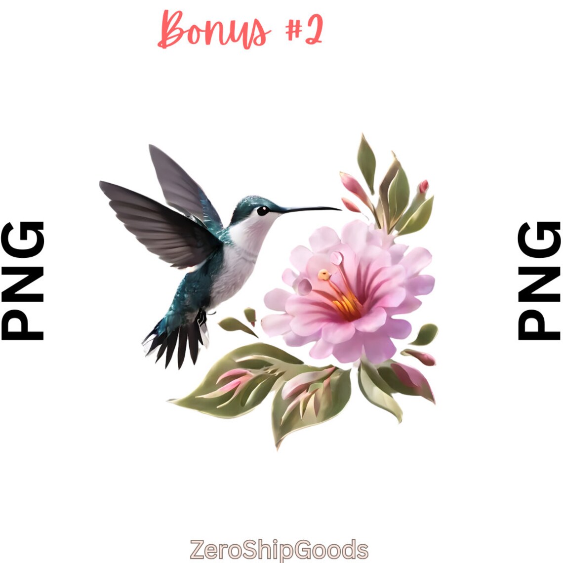 HUMMINGBIRD SVG, Hummingbird Vector, Hummingbird Svg - Cricut ...