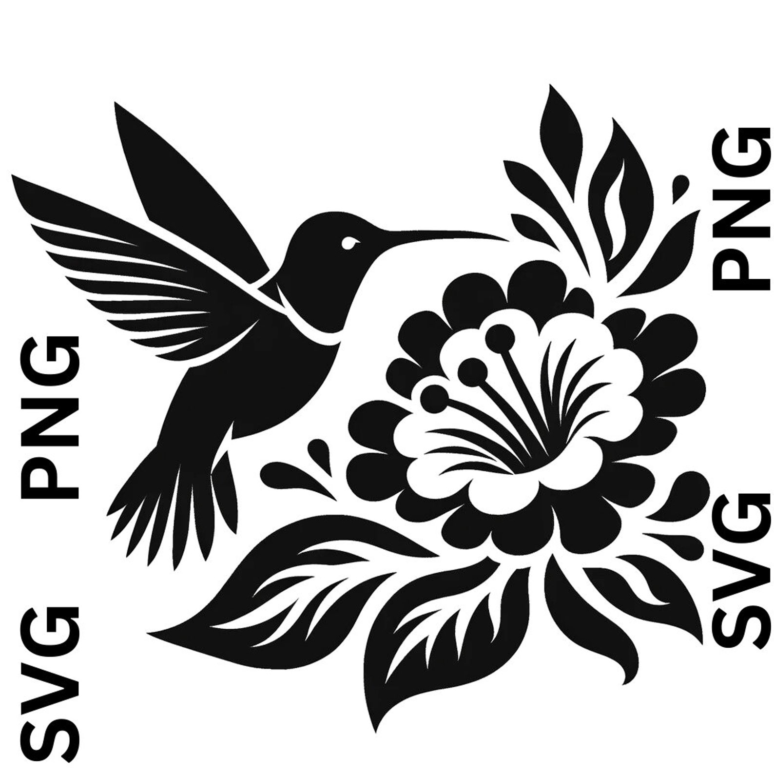 HUMMINGBIRD SVG, Hummingbird Vector, Hummingbird Svg Cricut, Silhouette ...