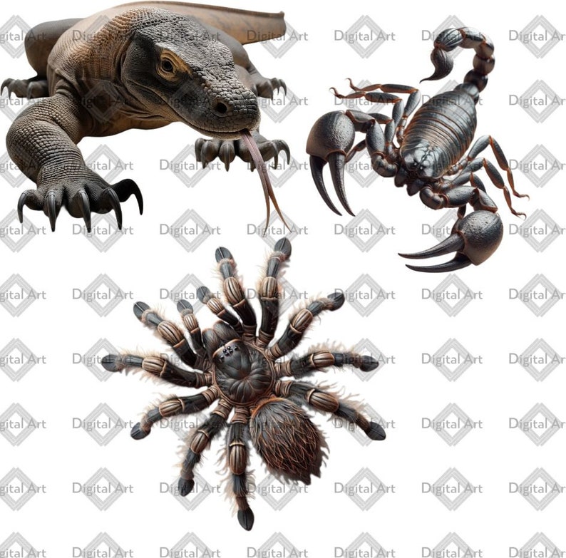 Realistic Looking Komodo Dragon, Tarantula Scorpion Clipart Bundle - 3 ...