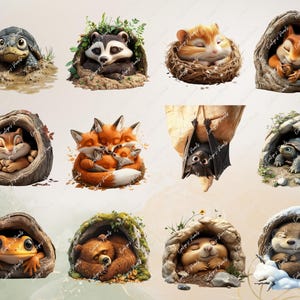 Winter Animals Clipart Hibernating Animal PNG Sleeping Animal Clipart ...