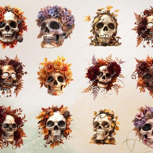 Skull Clipart Floral Skull PNG Skeleton Clipart Spooky Clipart Scary ...