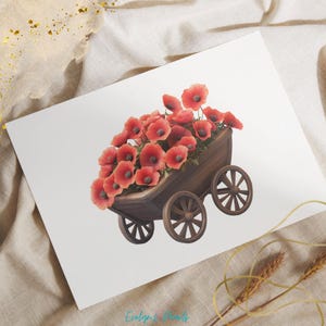 Poppy Clipart Poppy Flower PNG Spring Clipart Floral Clipart Seasonal ...