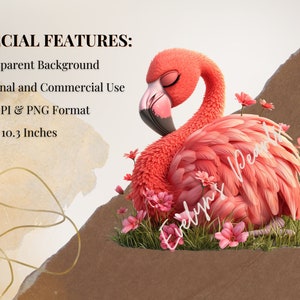 Flamingo Clipart Cute Flamingo PNG Bird Clipart Cute Animal PNG Cartoon ...