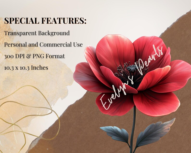 Poppy Clipart Poppy Flower PNG Spring Clipart Floral Clipart Seasonal ...