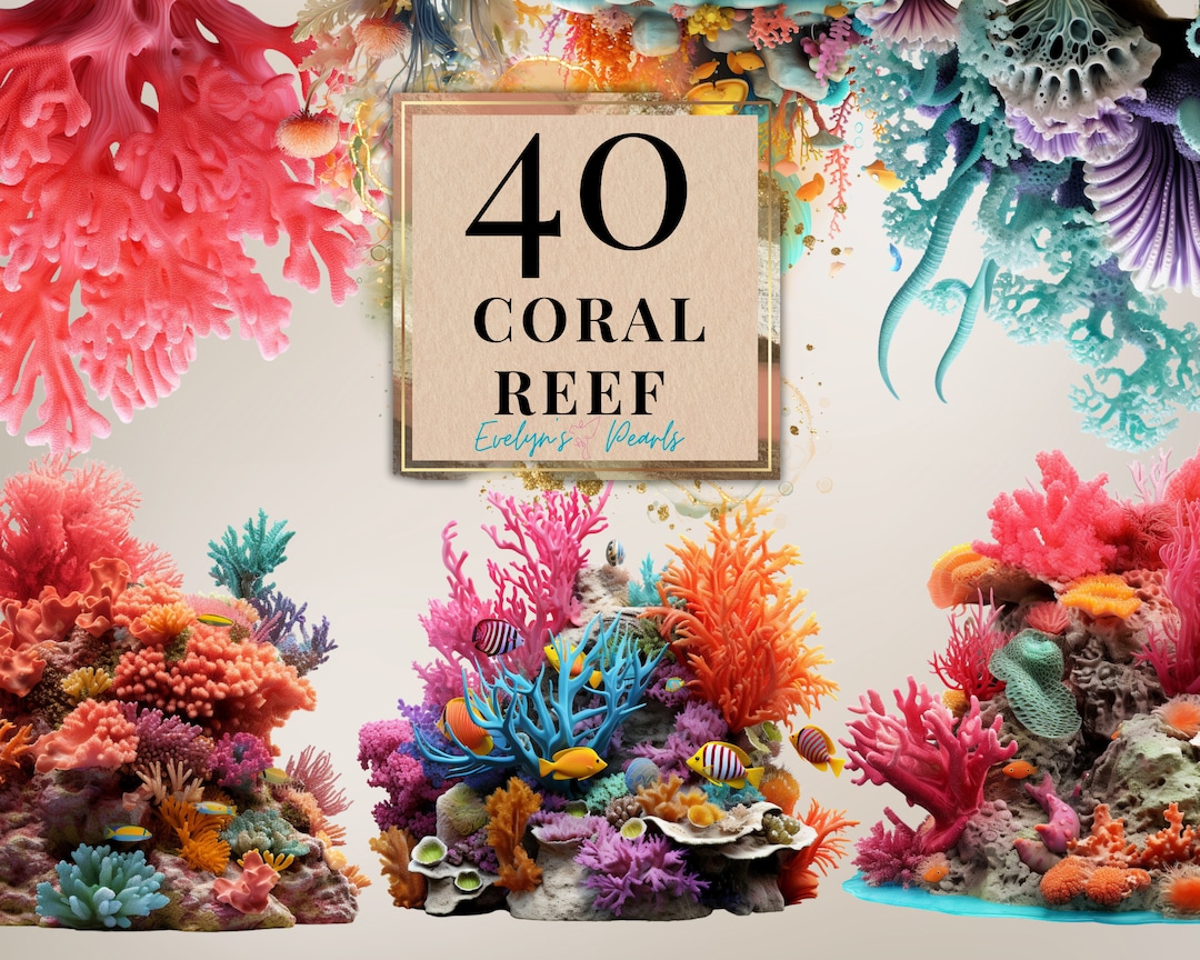 Coral Reef Clipart Sea Life PNG Underwater Plant Clipart Under Ocean ...