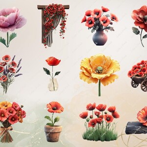 Poppy Clipart Poppy Flower PNG Spring Clipart Floral Clipart Seasonal ...