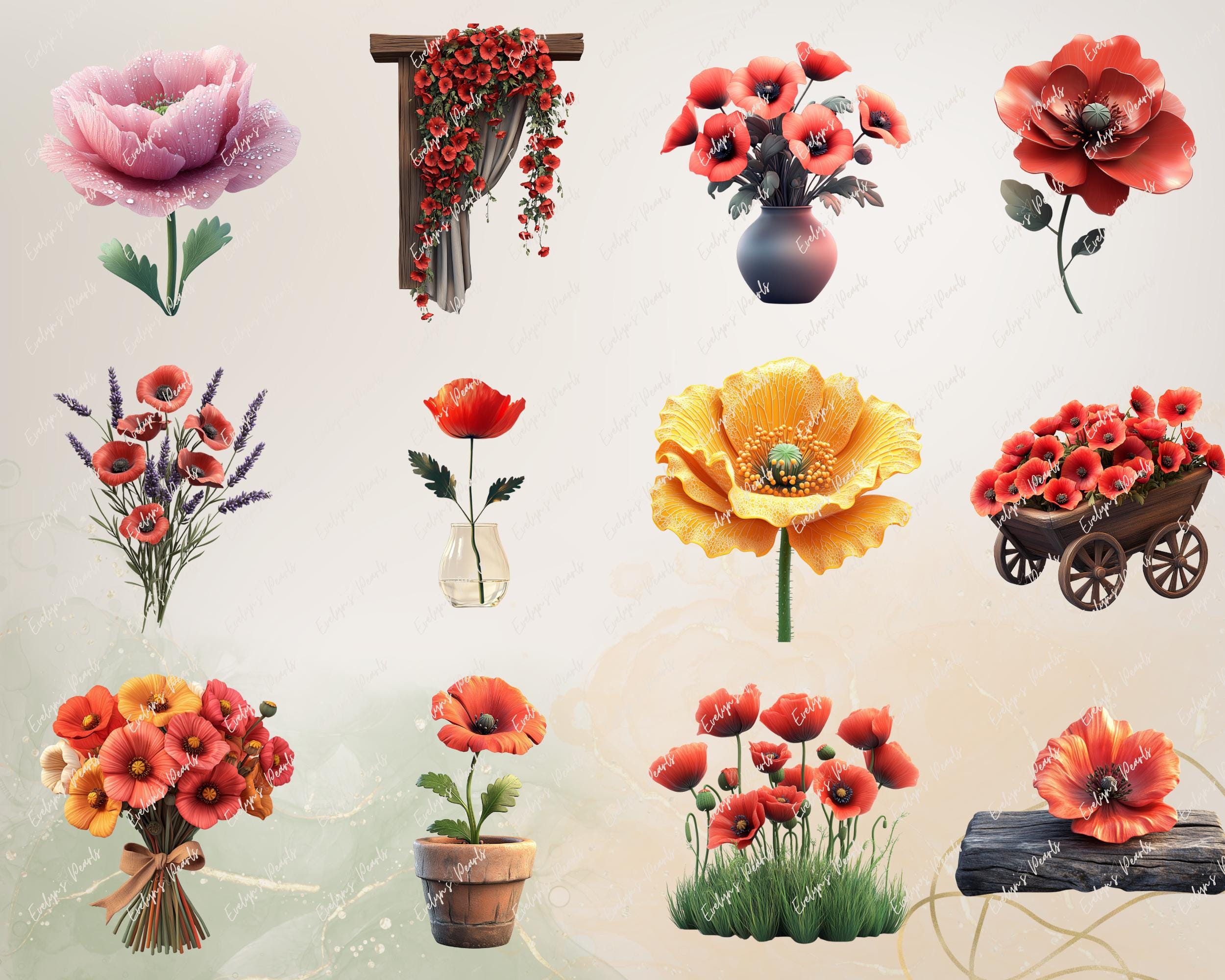 Poppy Clipart Poppy Flower PNG Spring Clipart Floral Clipart Seasonal ...