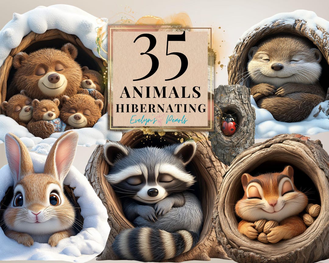 Winter Animals Clipart Hibernating Animal PNG Sleeping Animal Clipart ...