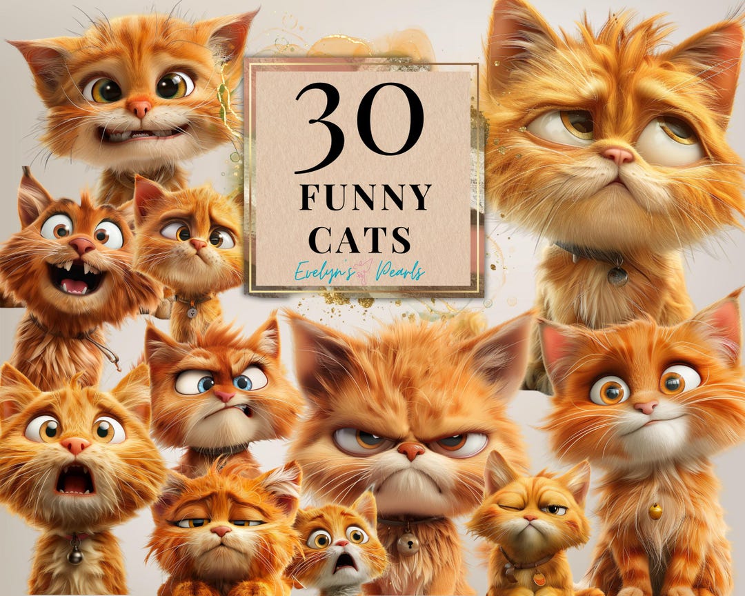 Funny Cat PNG Quirky Cat Clipart Humorous Cat PNG Cute Animals Clipart ...