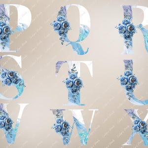Letters Clipart Winter Letters PNG Floral Letters Clipart Fancy Font ...