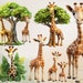 Giraffe Clipart Cute Baby Giraffe Clipart PNG Safari Animal Clipart ...