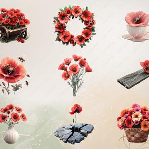 Poppy Clipart Poppy Flower PNG Spring Clipart Floral Clipart Seasonal ...