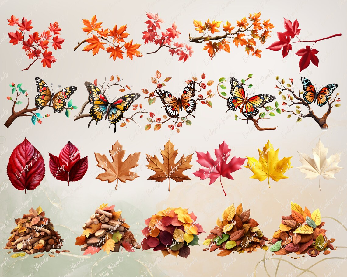 Autumn Leaves Clipart Bundle Fall Clipart Thanksgiving Decor PNG ...