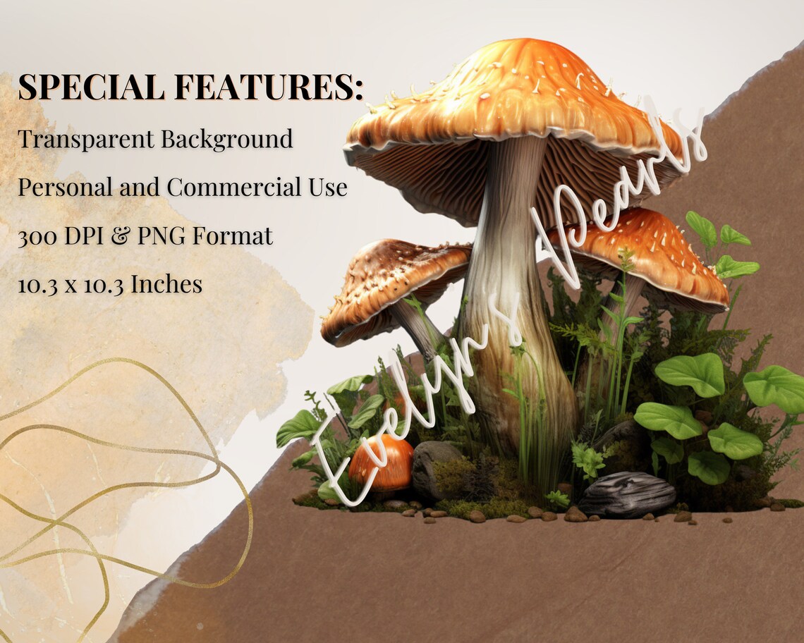 Mushroom Clipart Magic Mushroom PNG Forest Clipart Plants PNG Nature ...